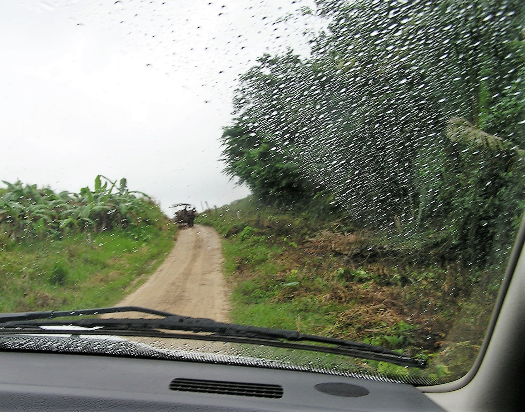 The Ultimate Guide To Belize Rainy Season Adventures