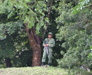 Belize Customs Form - Belize Travel Tips - Customs In Belize