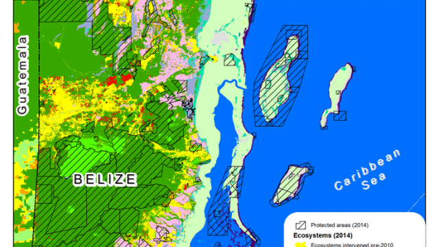 The Beauty of the Ecosystems of Belize