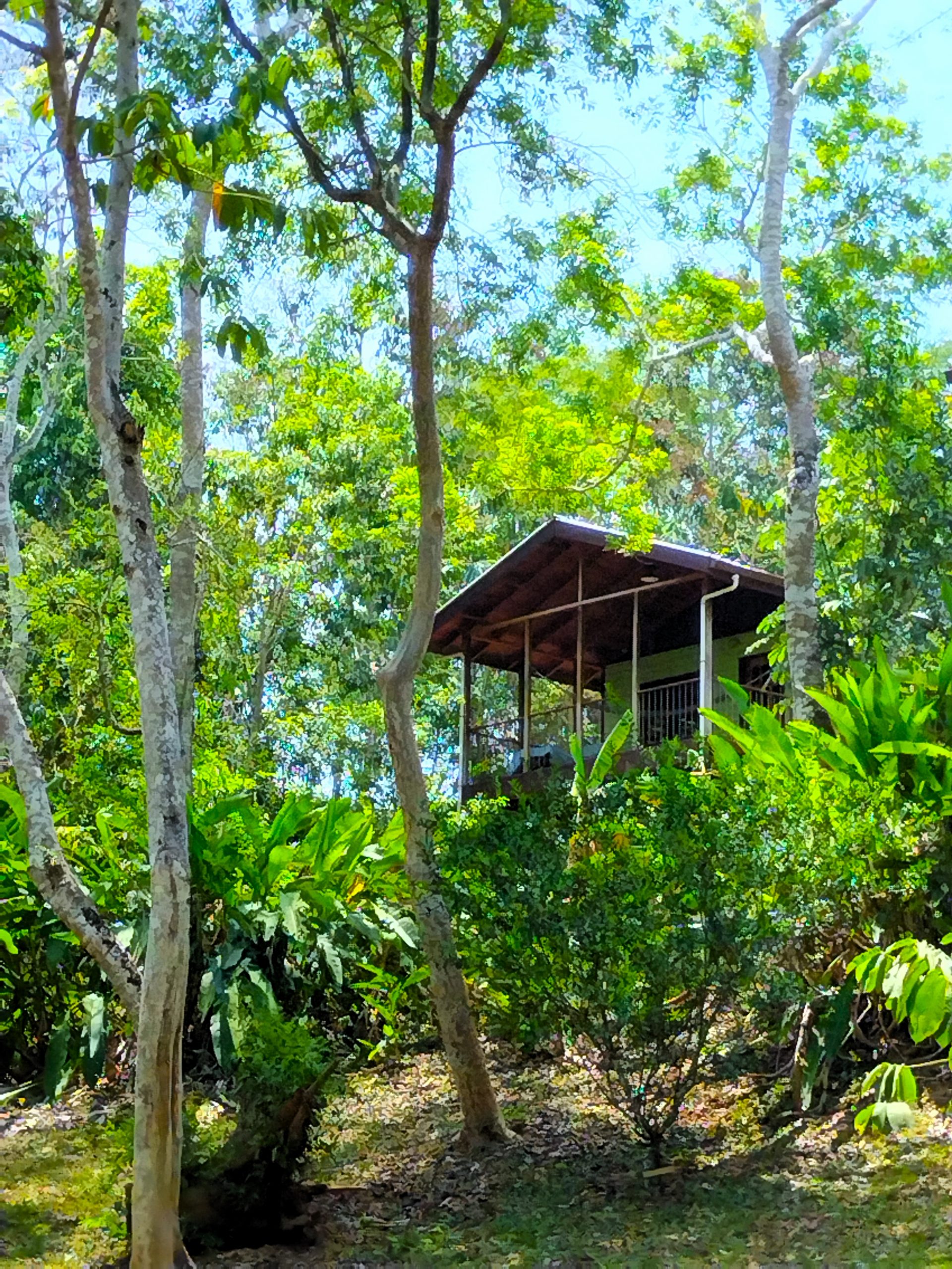 Belize Ecosystems: The Stunning Biodiversity Of Land And Sea