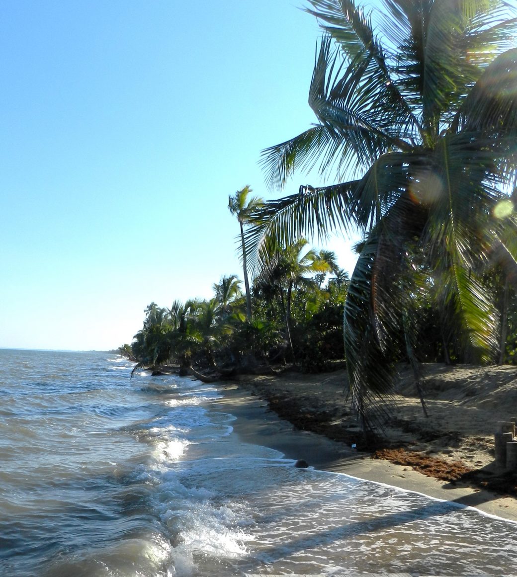The Beauty Of The Ecosystems Of Belize - Belize Biodiversity
