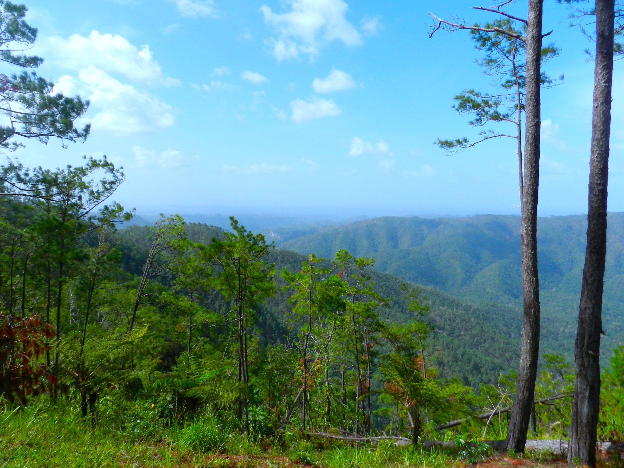 Belize Ecosystems: The Stunning Biodiversity Of Land And Sea
