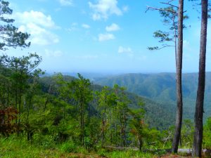 The Beauty Of The Ecosystems Of Belize - Belize Biodiversity