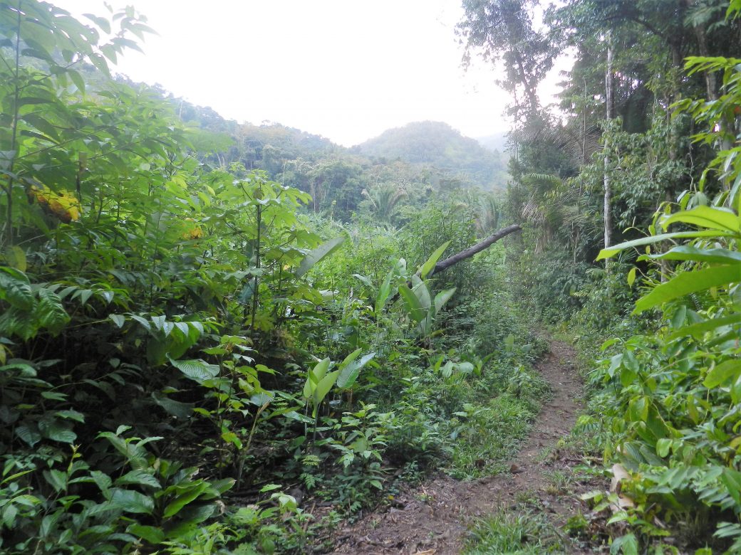 Belize History: Mayans To Colony To Freedom