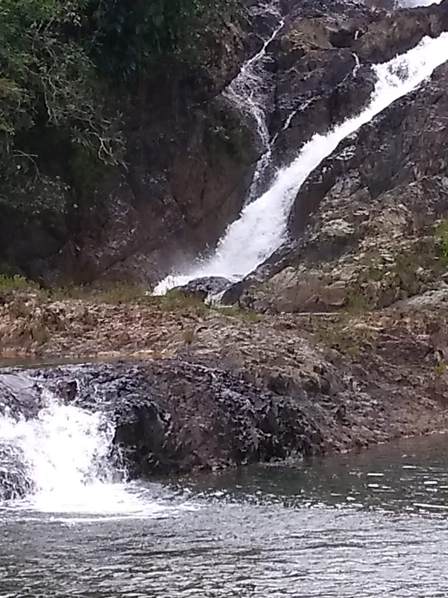 Explore Elijio Panti National Park