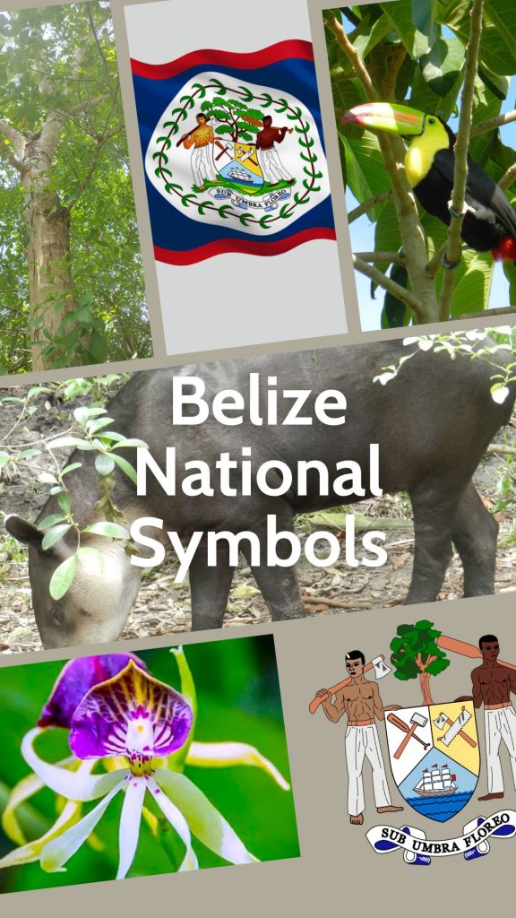 The Amazing Belize National Animal & 5 Other Symbols