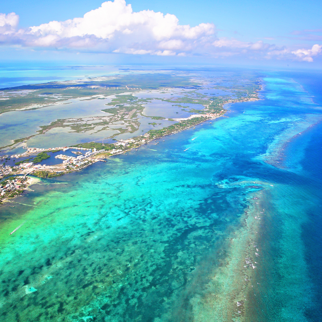 Belize Ecosystems: The Stunning Biodiversity Of Land And Sea